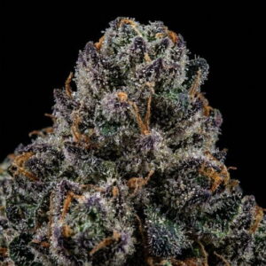Banana Cream Cake Feminized Marijuana Seeds | MarijuanaSeeds.com