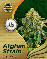 Afghan Strain Feminized Marijuana Seeds | Marijuana Seeds