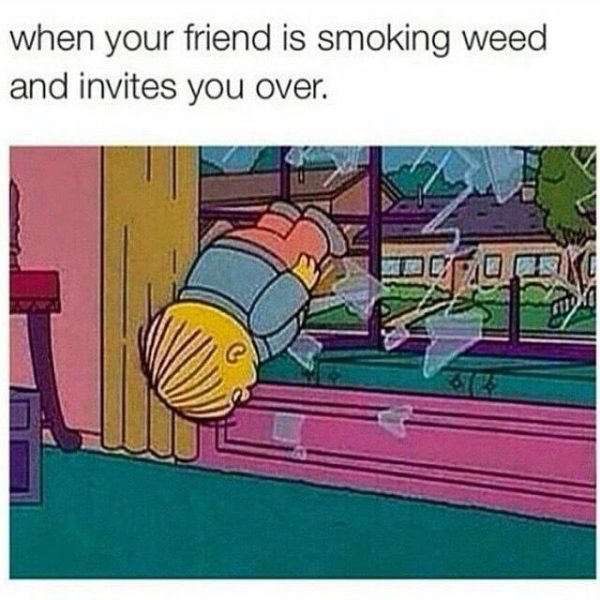 The Best Weed Memes: A Stoner's Collection