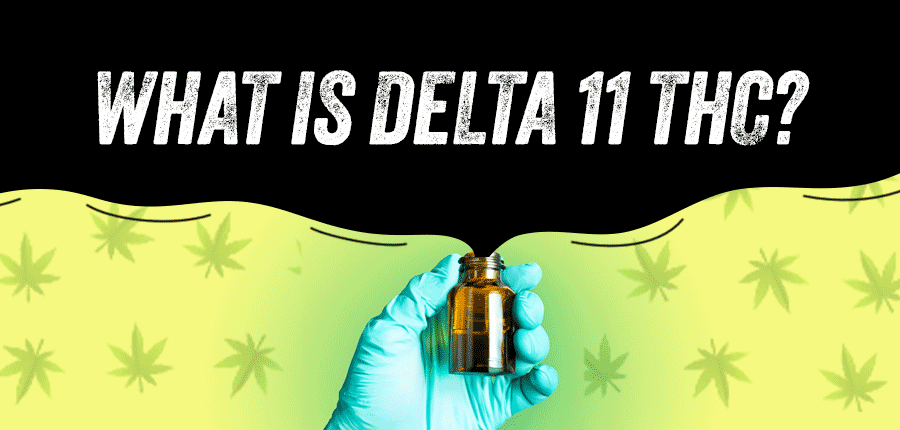 What is Delta 11 THC | Marijuana Seeds